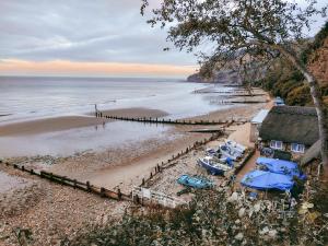 The Isle of Wight – 5 of the best circular walking routes – Travelling Han
