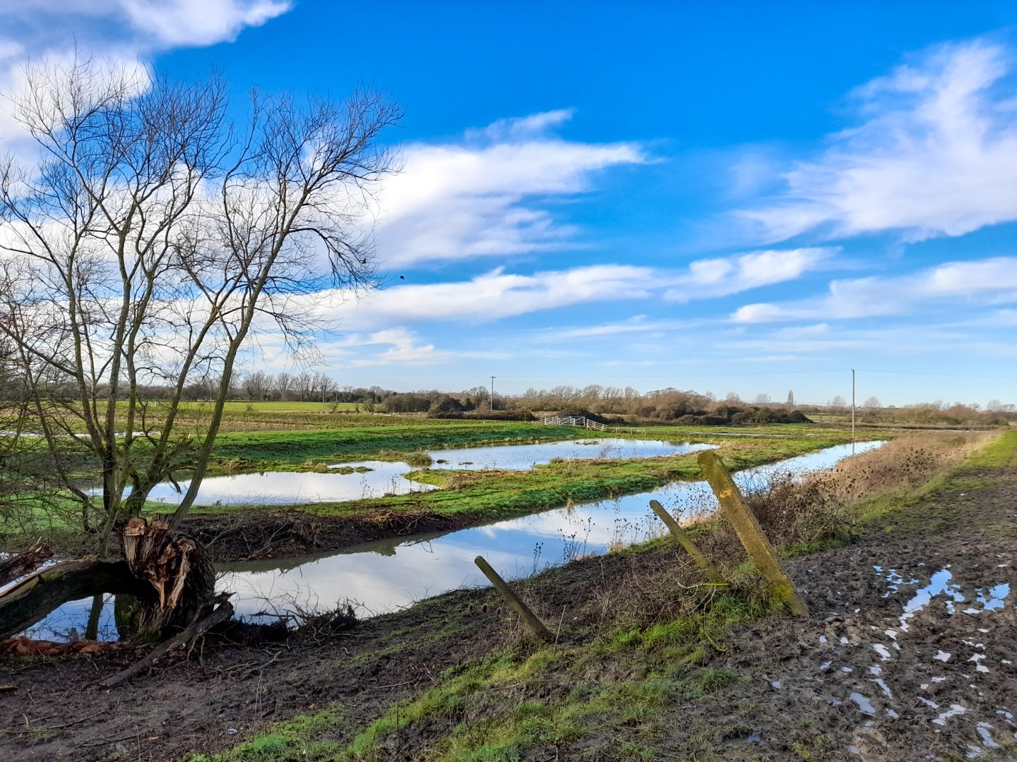Into the Fens: Exploring England’s wetlands – Travelling Han