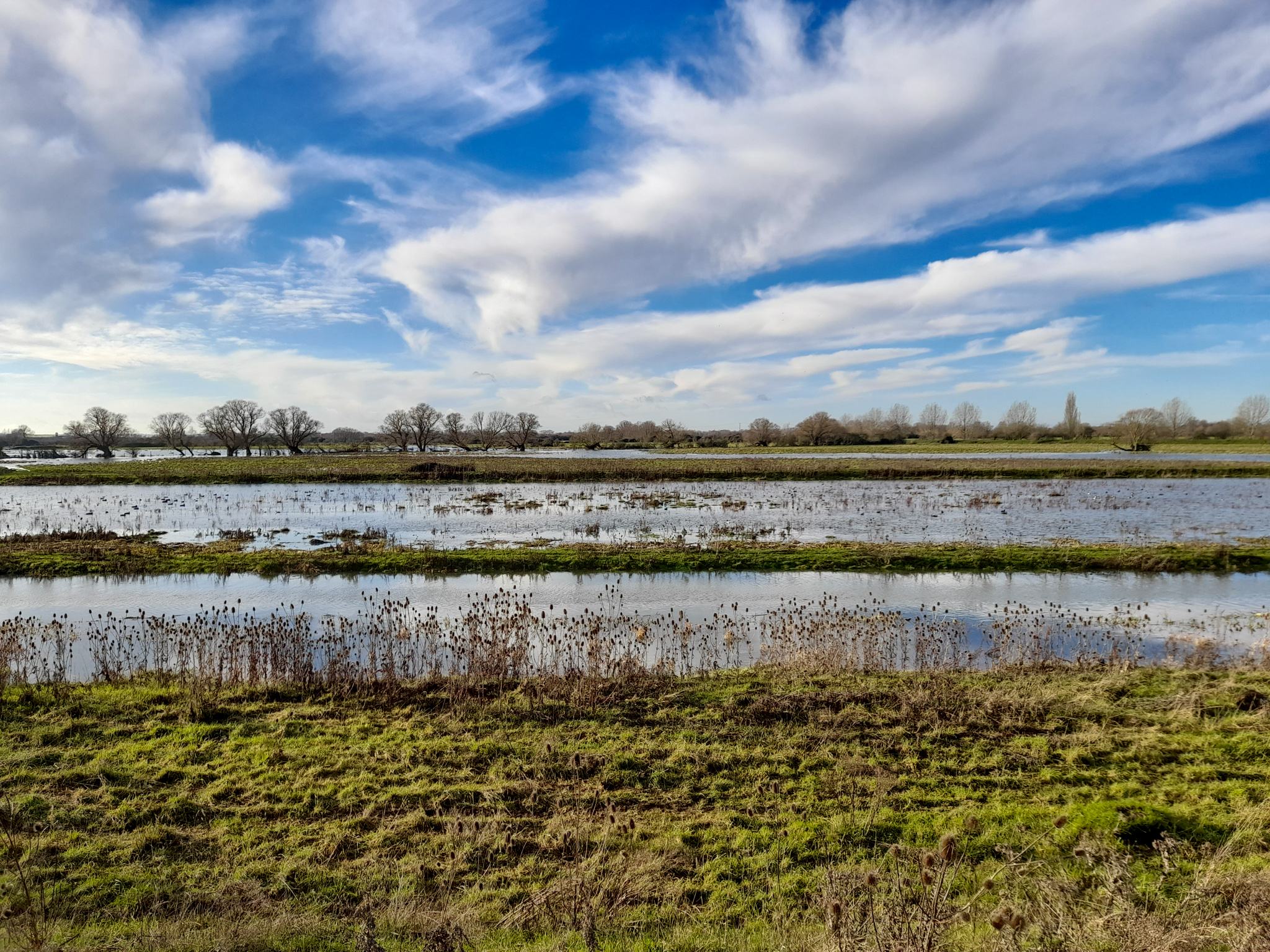 Into the Fens: Exploring England’s wetlands – Travelling Han