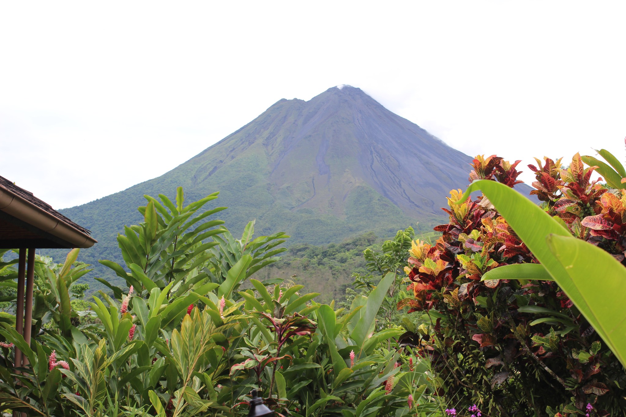 A review of Nayara Springs Hotel, Costa Rica – Travelling Han