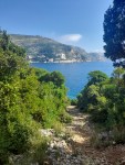 A Guide to Lokrum Island (& How to get there from Dubrovnik ...