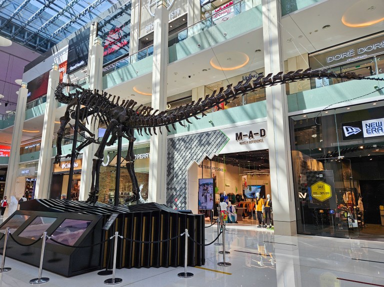15 Amazing things to do in the Dubai Mall – Travelling Han
