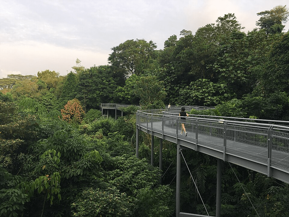 Mount Faber & The Southern Ridges: A Wonderful Walk in Singapore ...