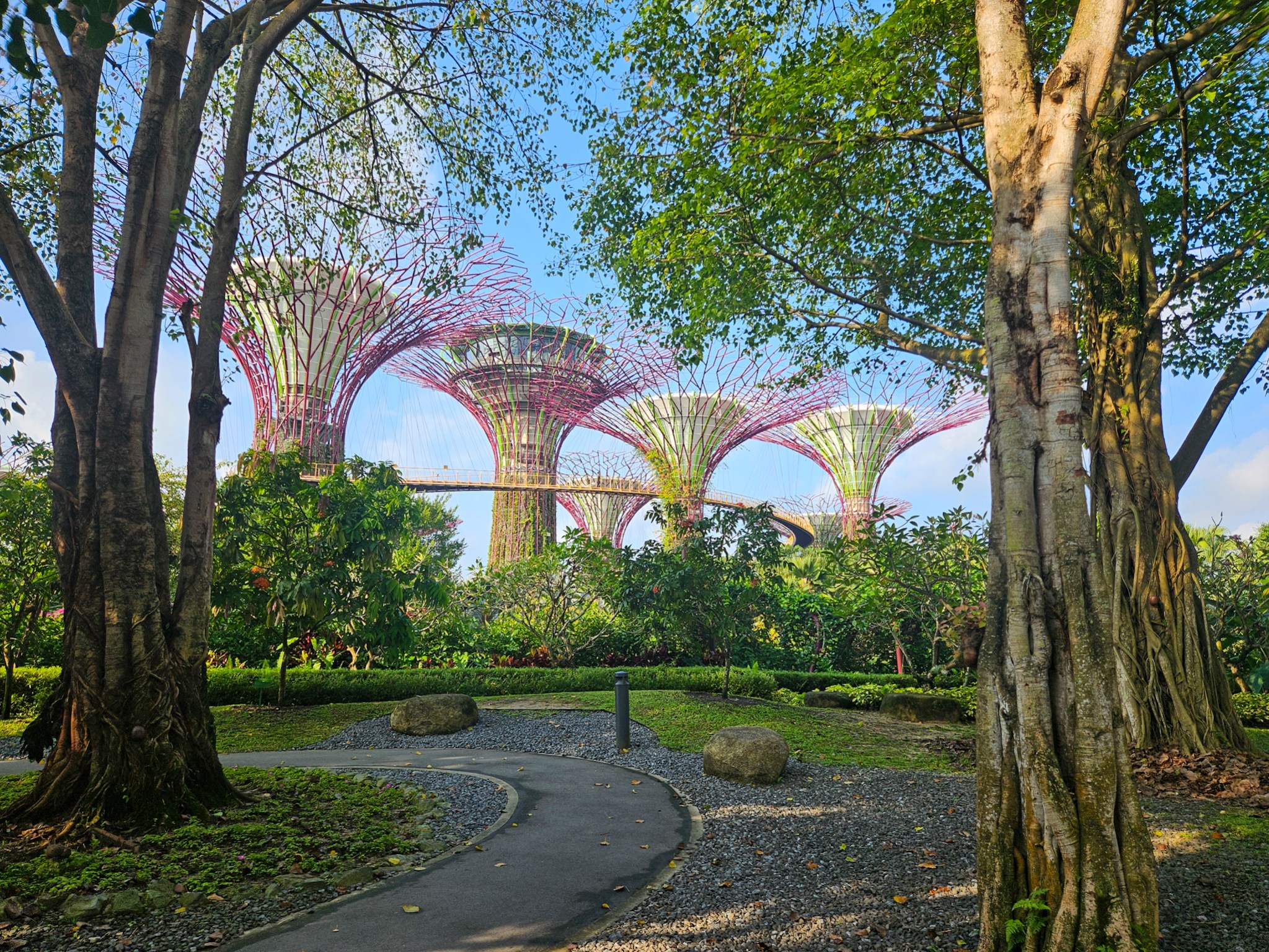 A Guide to Gardens by the Bay, Singapore – Travelling Han