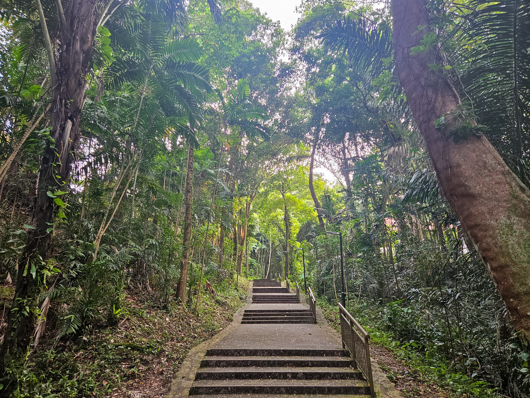 Mount Faber & The Southern Ridges: A Wonderful Walk in Singapore ...