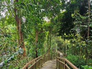Mount Faber & The Southern Ridges: A Wonderful Walk in Singapore ...