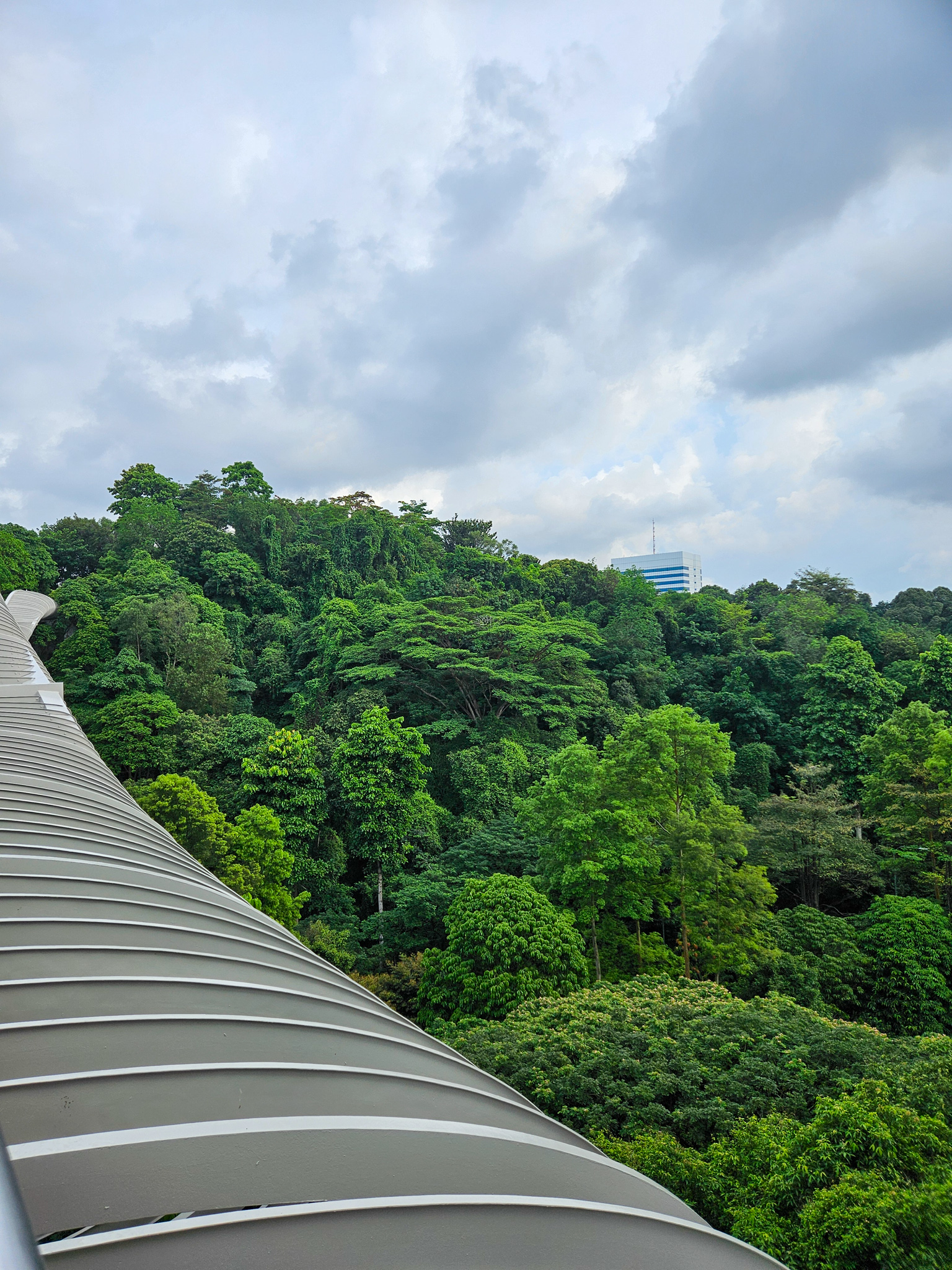 Mount Faber & The Southern Ridges: A Wonderful Walk in Singapore ...