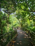 Mount Faber & The Southern Ridges: A Wonderful Walk in Singapore ...